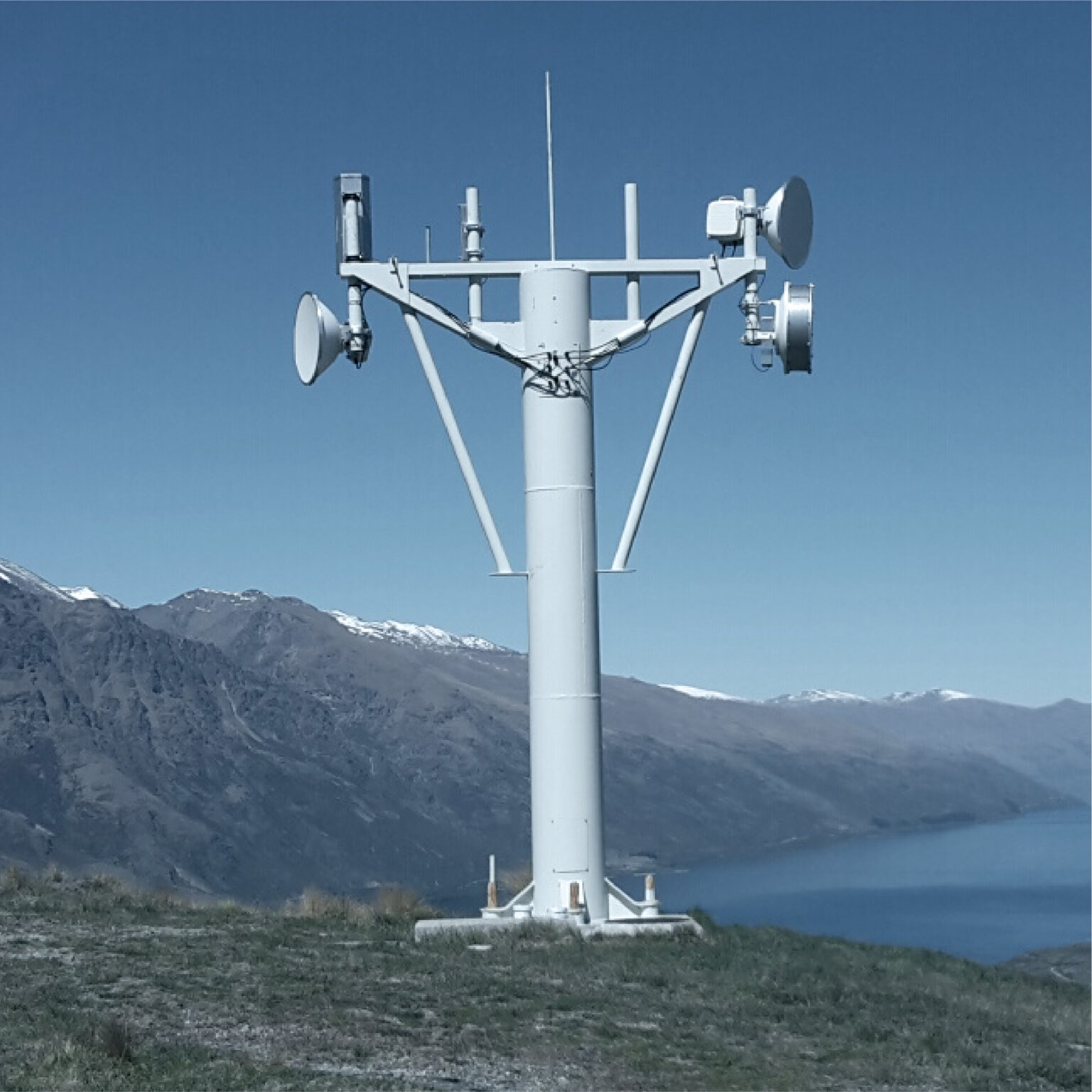 Designing The Electric Future - Niko