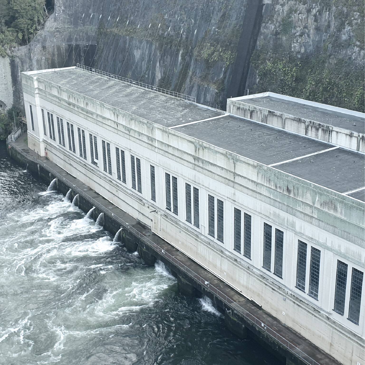 Designing The Electric Future - Niko