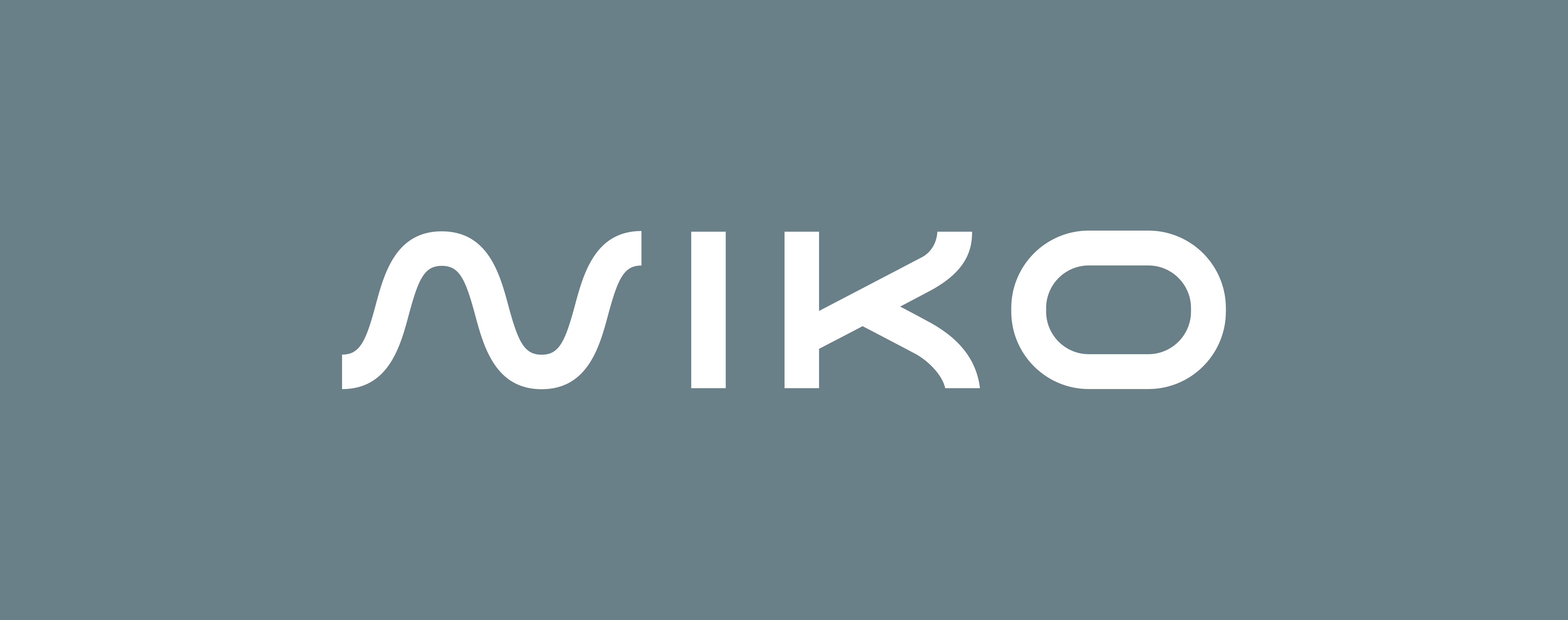 Tesla Consultants becomes Niko - Niko