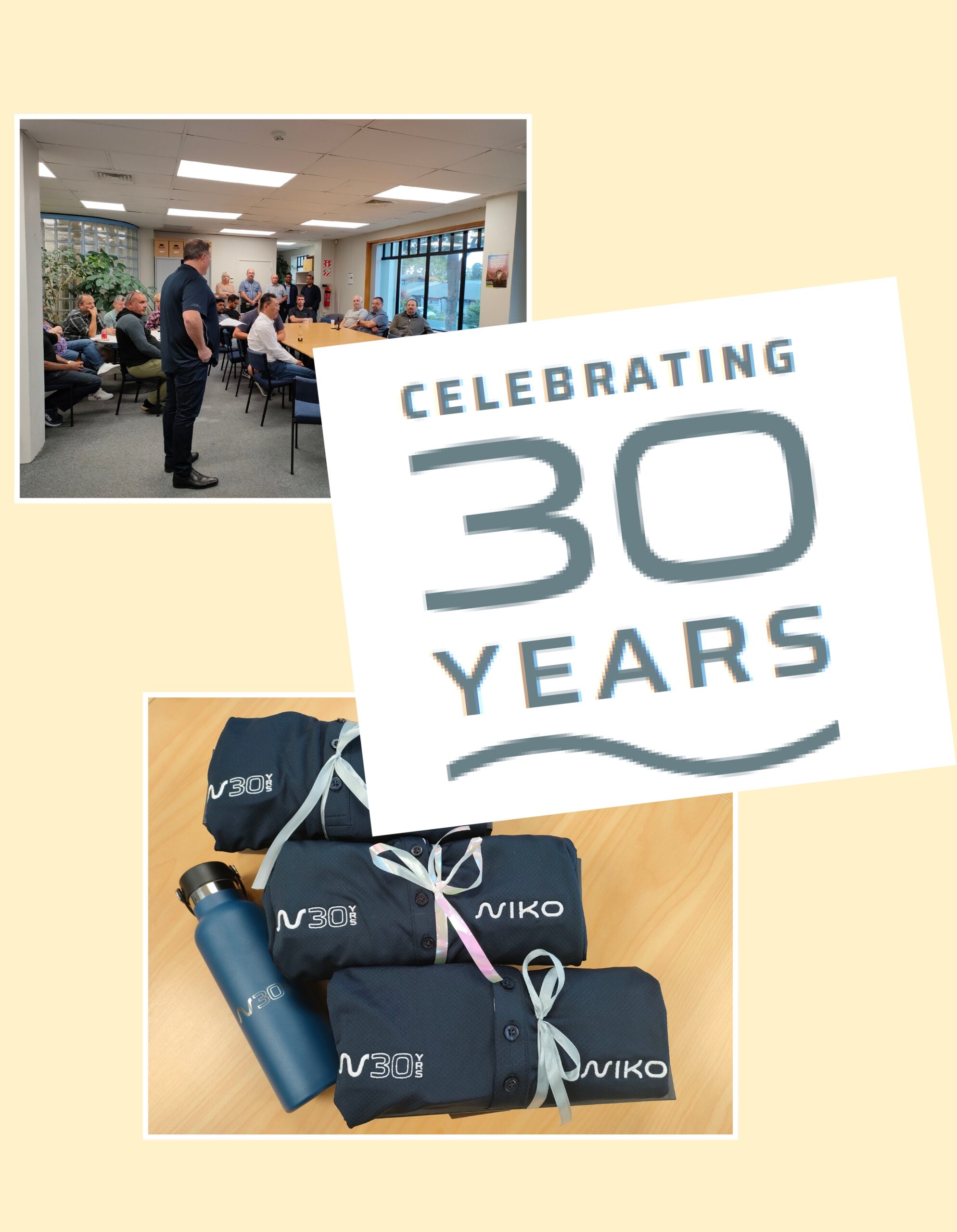 Celebrating 30 Years of Excellence: A Journey with Niko Engineering - Niko